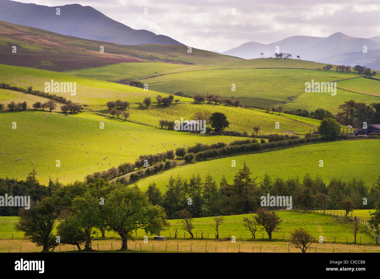 Looking south towards Uldale Fells and Skiddaw from Longlands, Lake ...