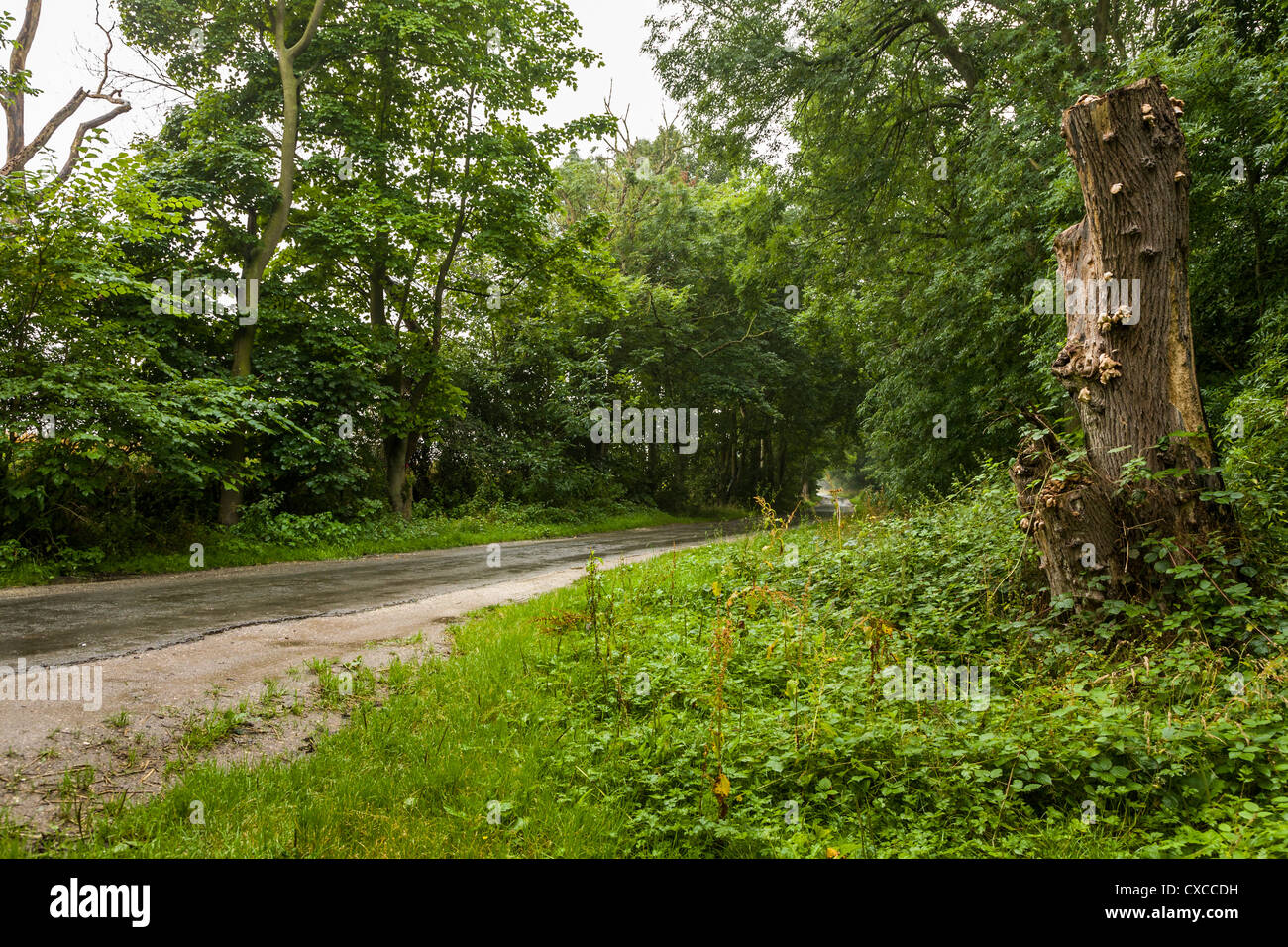 David Hockney's totem in winter, Woldgate, East Yorkshire, England ...