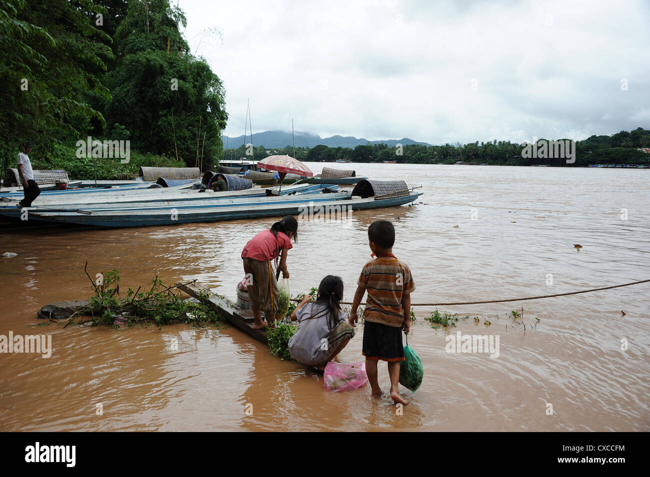 Three young children on a plank of wood in the Mekong river preparing ...