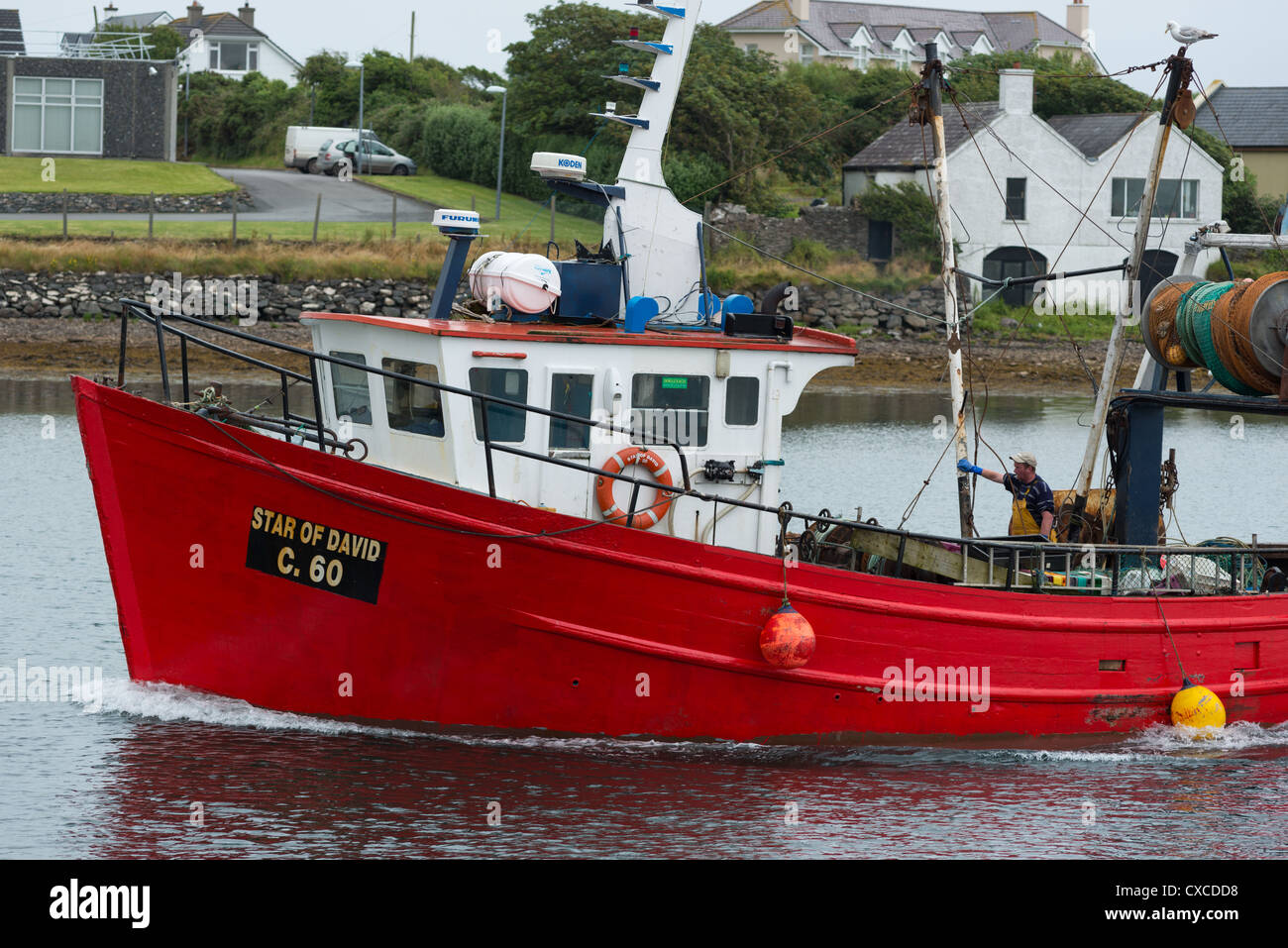 Local fisherman sails into Dingle Town port. Dingle Peninsula, Republic ...