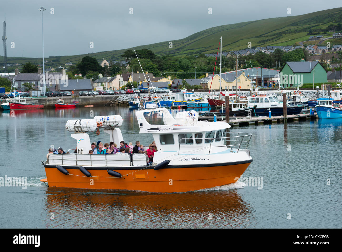 Tourist boat sails out of Dingle Town port. Dingle Peninsula, Republic ...