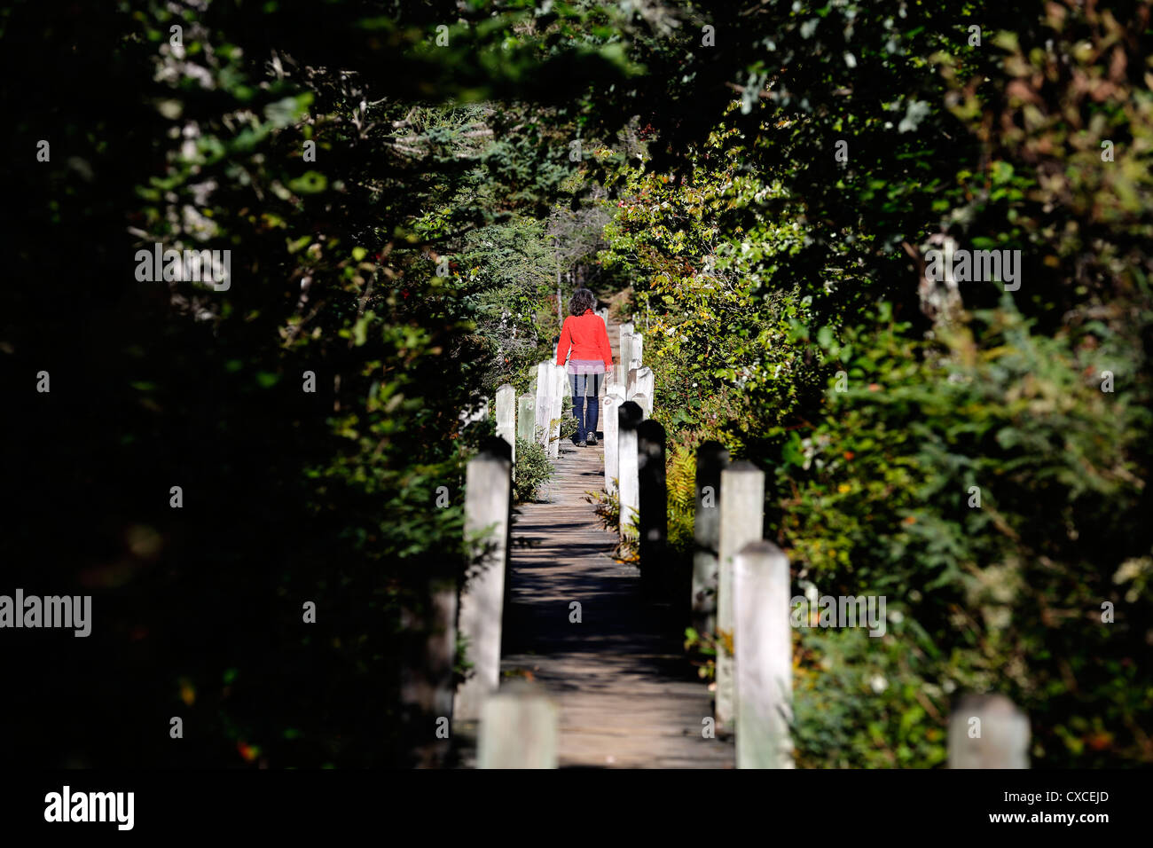 Balancing rock canada hi-res stock photography and images - Alamy