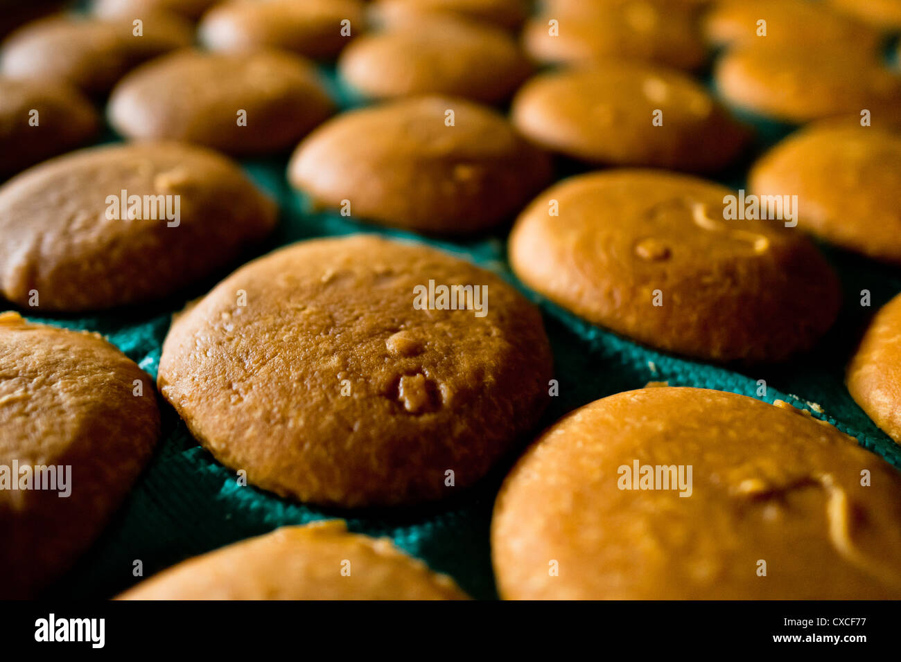 Rounded panela blocks arranged to solidify during the processing of ...