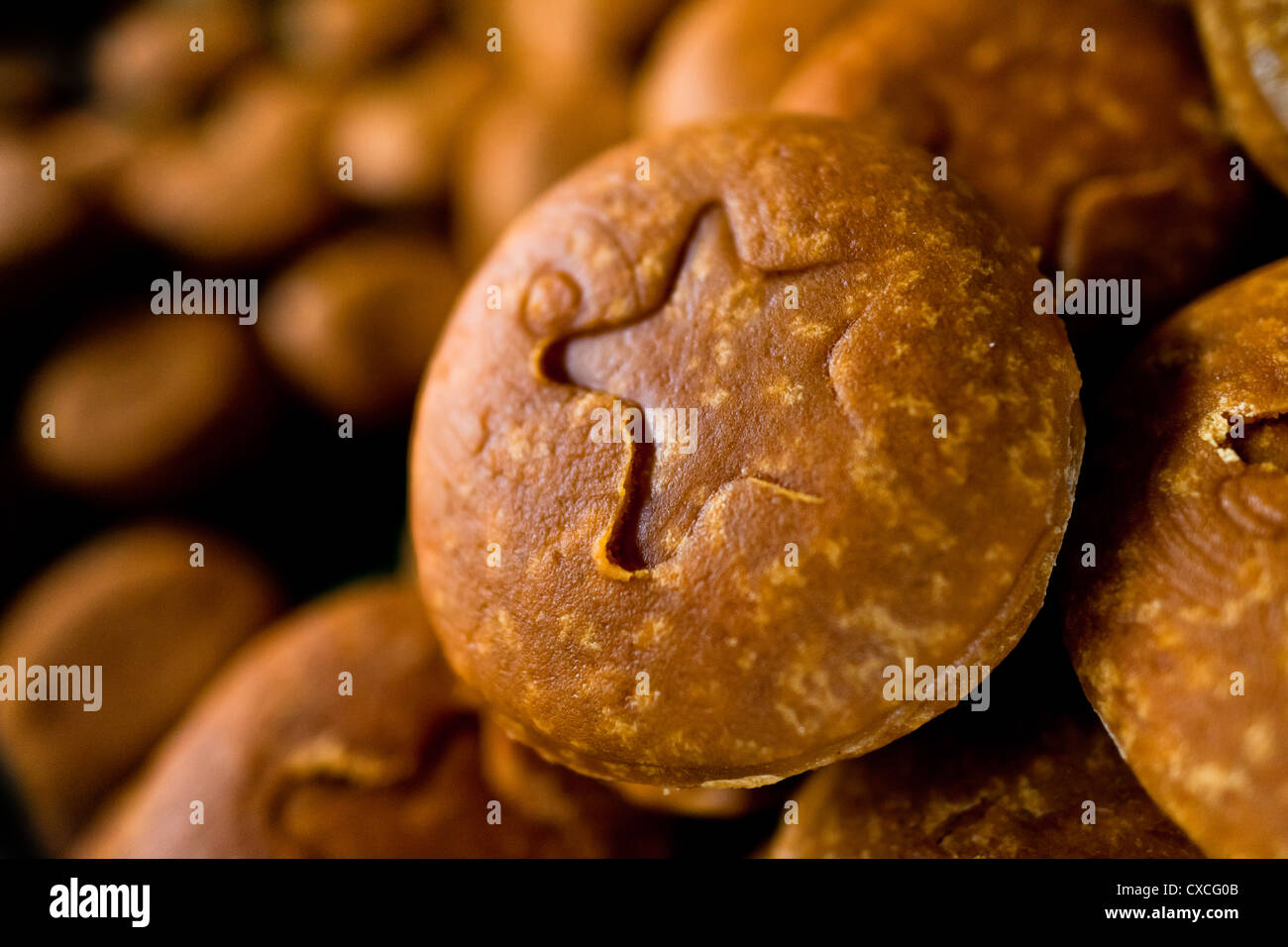 Rounded panela blocks arranged to solidify during the processing of ...
