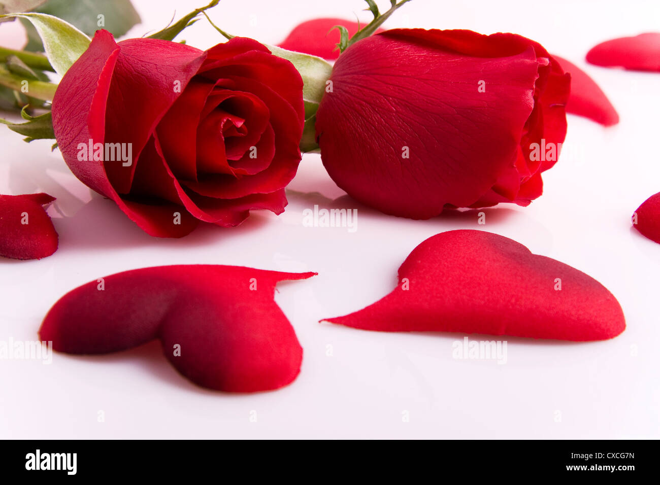 Two hearts rose hi-res stock photography and images - Alamy