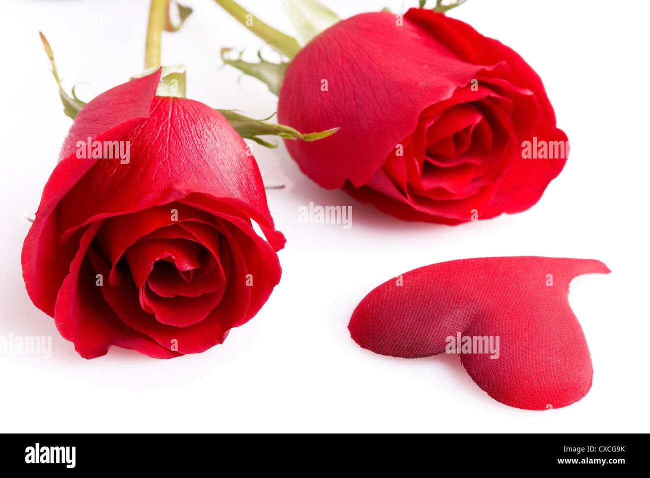 Two red rose with heart isolated on white Stock Photo - Alamy
