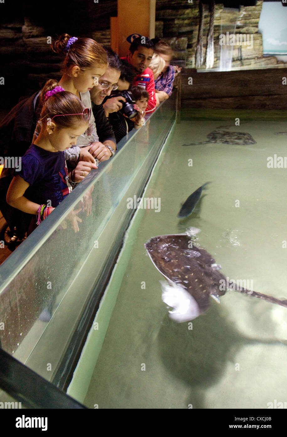 Families and children looking at the fish in the Sea Life London ...