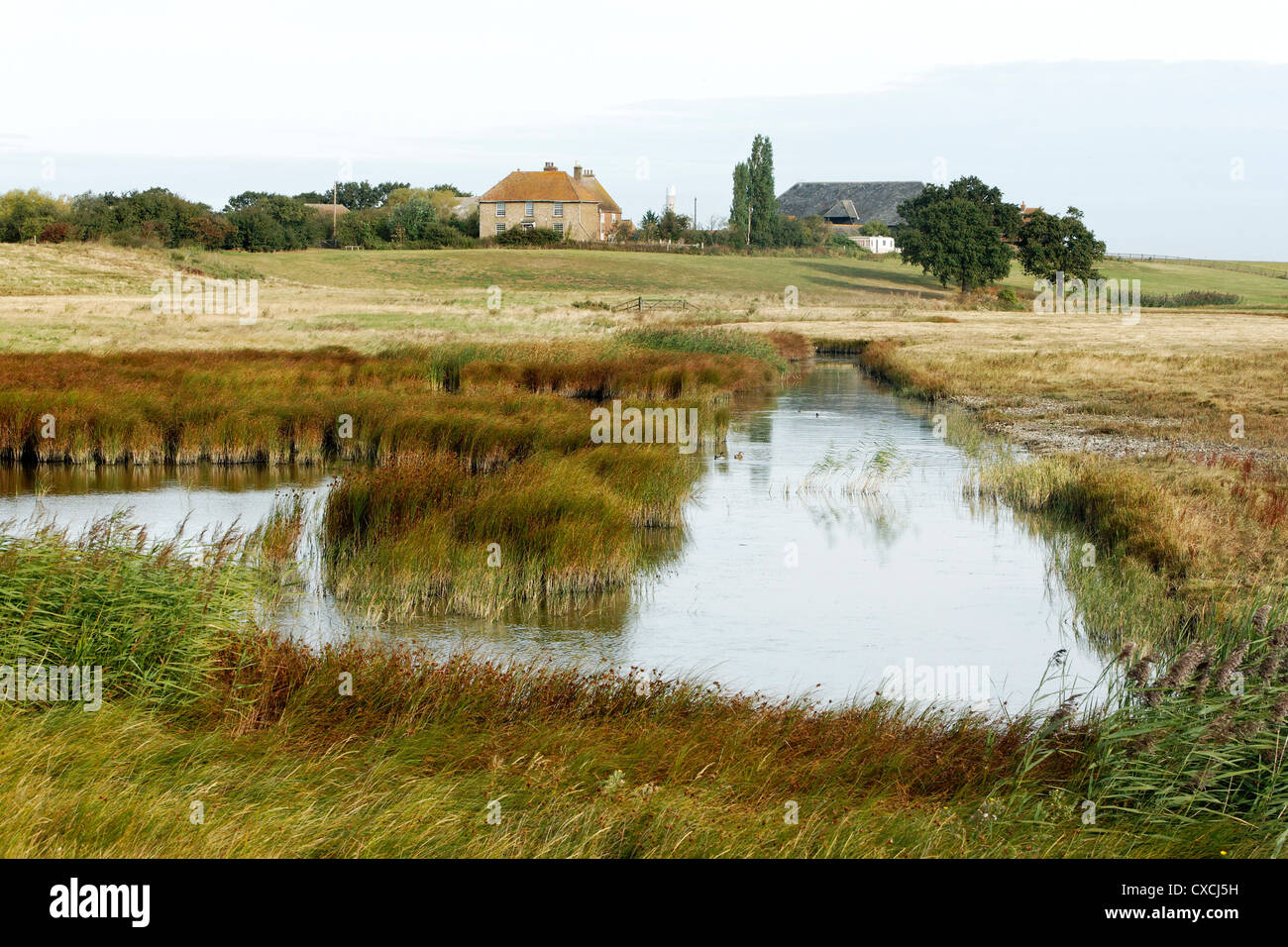 Elmley RSPB Reserve, Kent, September 2012 Stock Photo - Alamy