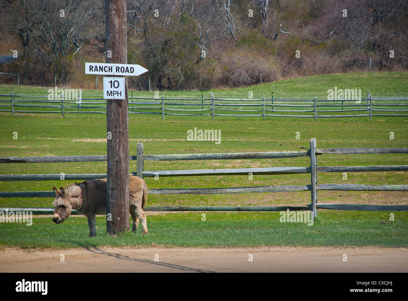 Donkey road sign hi-res stock photography and images - Alamy