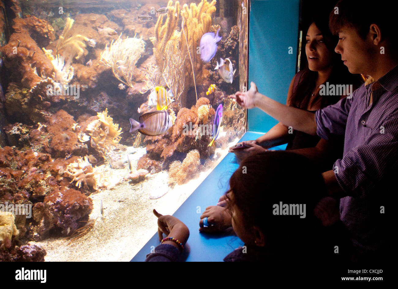 London aquarium hi-res stock photography and images - Alamy