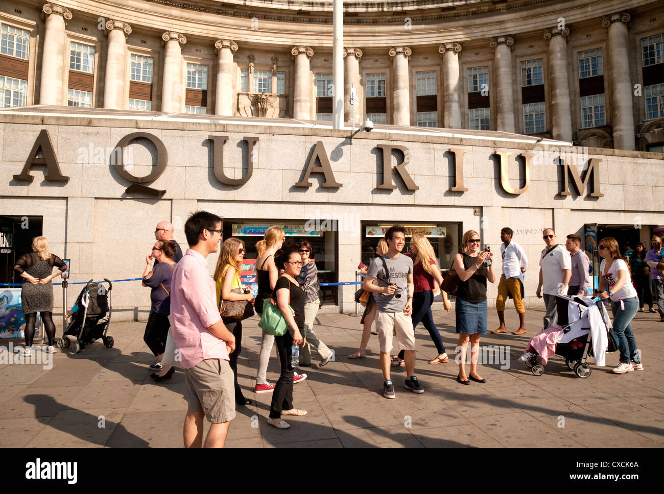 Sea life london aquarium hi-res stock photography and images - Alamy