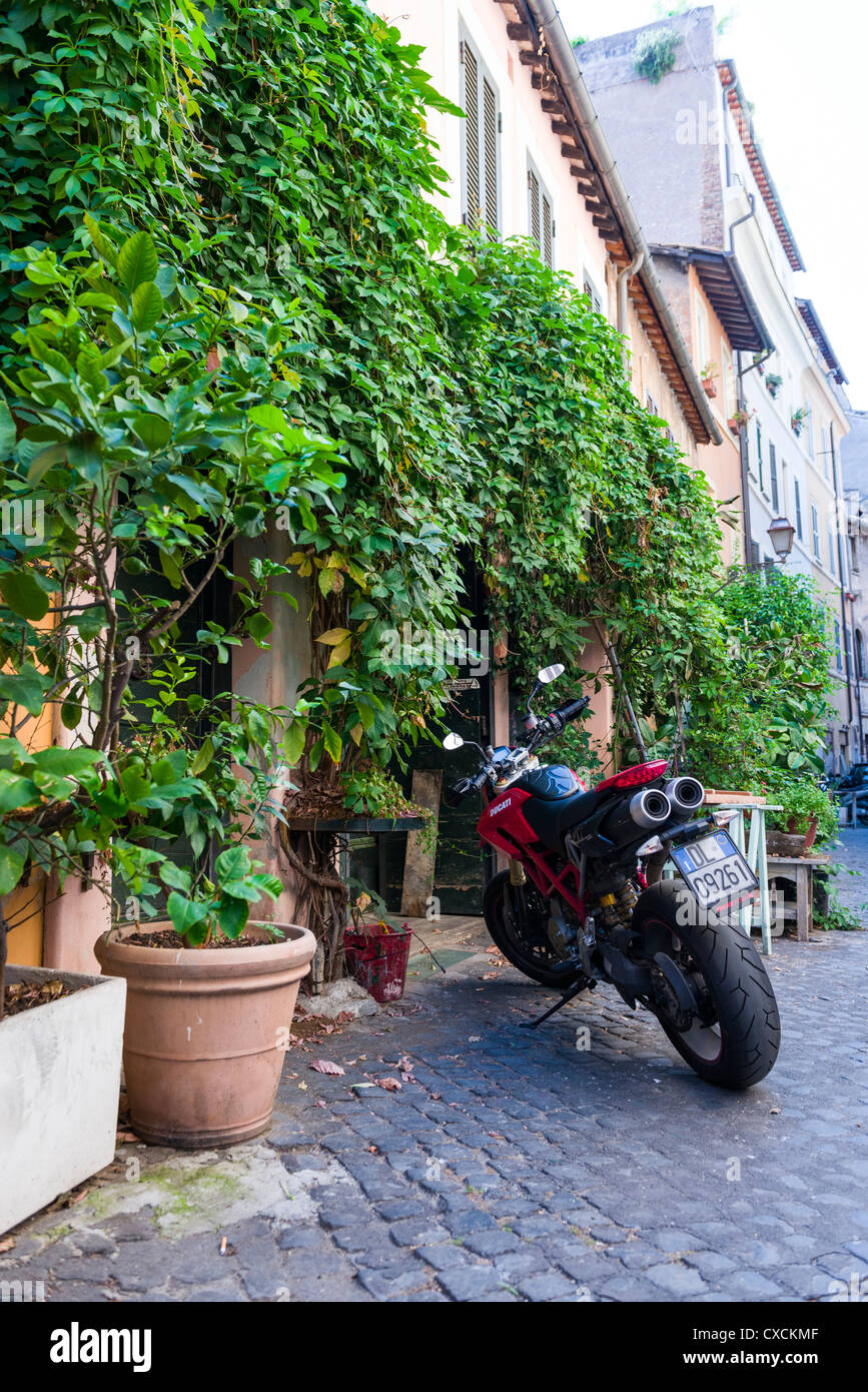 Ducati motorbike outside a ivy covered house in a back streets of Rome ...