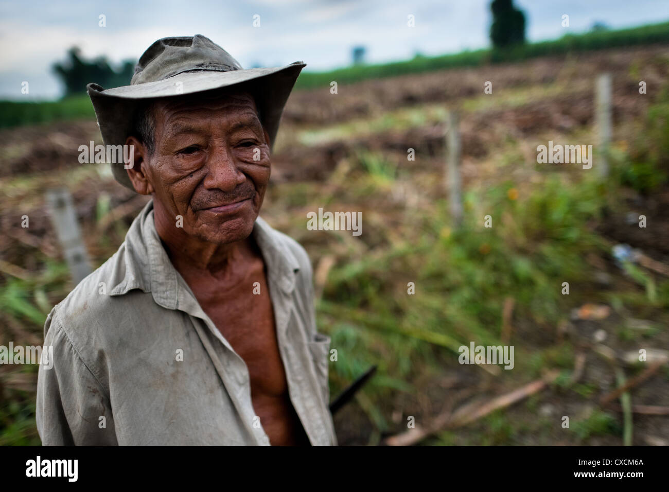 A Colombian peasant collects leftovers on a plantation to process ...