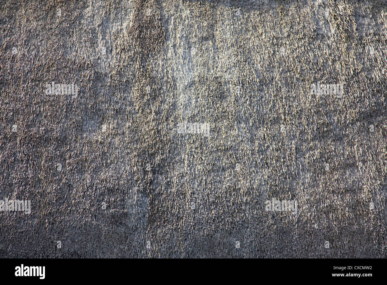 Thatched roof straw hi-res stock photography and images - Alamy