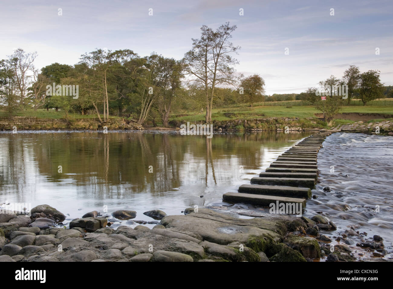 Reflection stepping stone High Resolution Stock Photography and Images ...