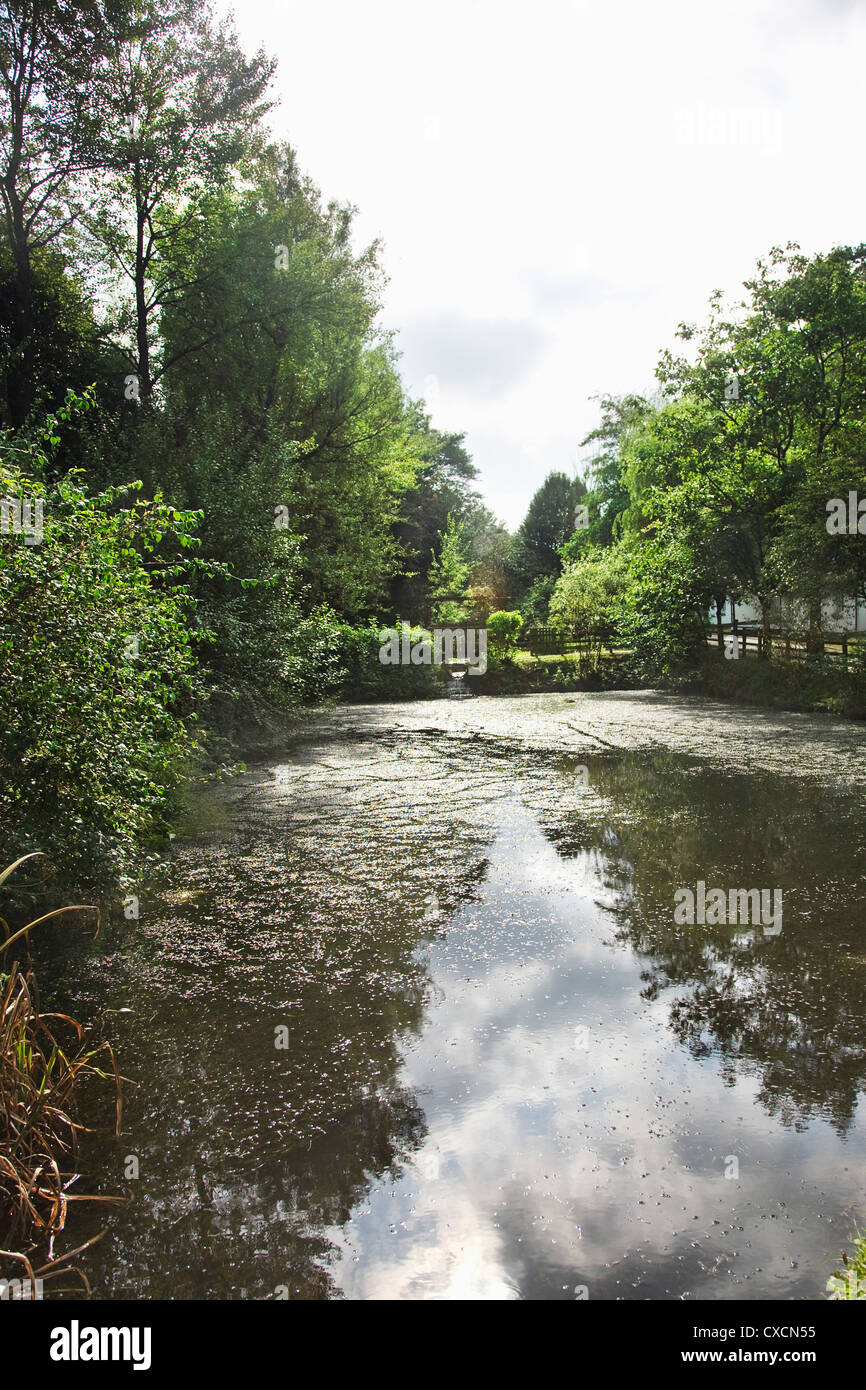 large pond in the North Devon countryside Stock Photo - Alamy