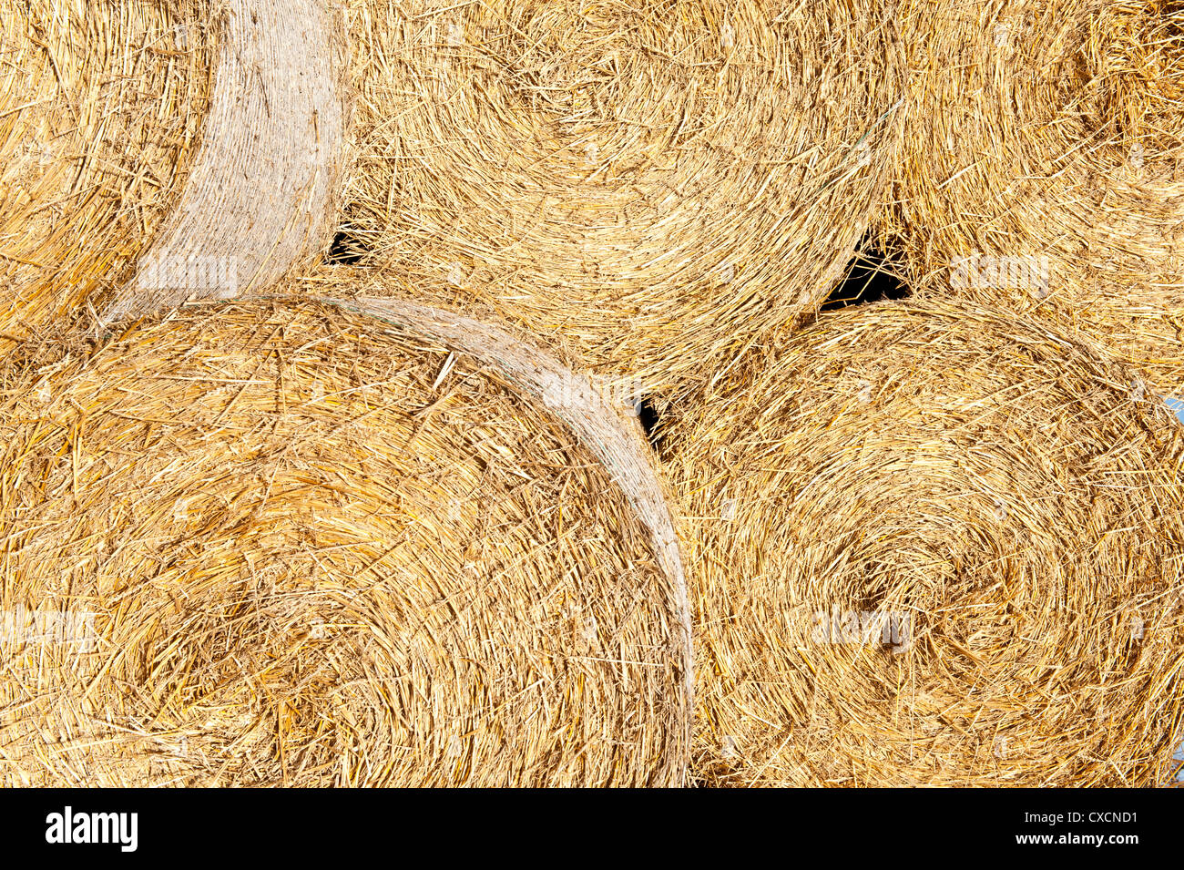 Detail of five straw bales - agricultural background Stock Photo - Alamy