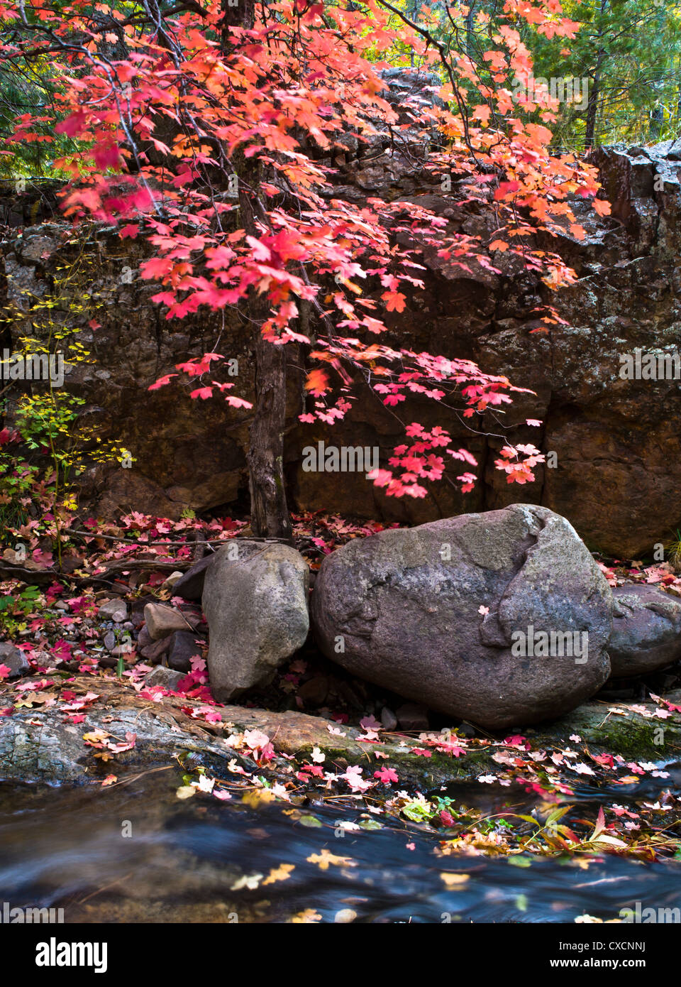 Sierra ancha wilderness hi-res stock photography and images - Alamy
