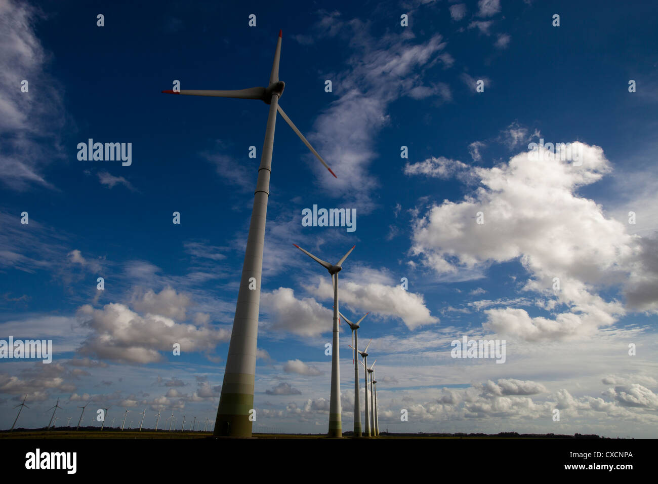 Brazil wind farm hi-res stock photography and images - Alamy