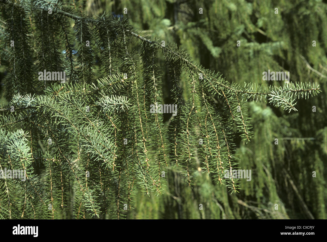 Breweriana hi-res stock photography and images - Alamy