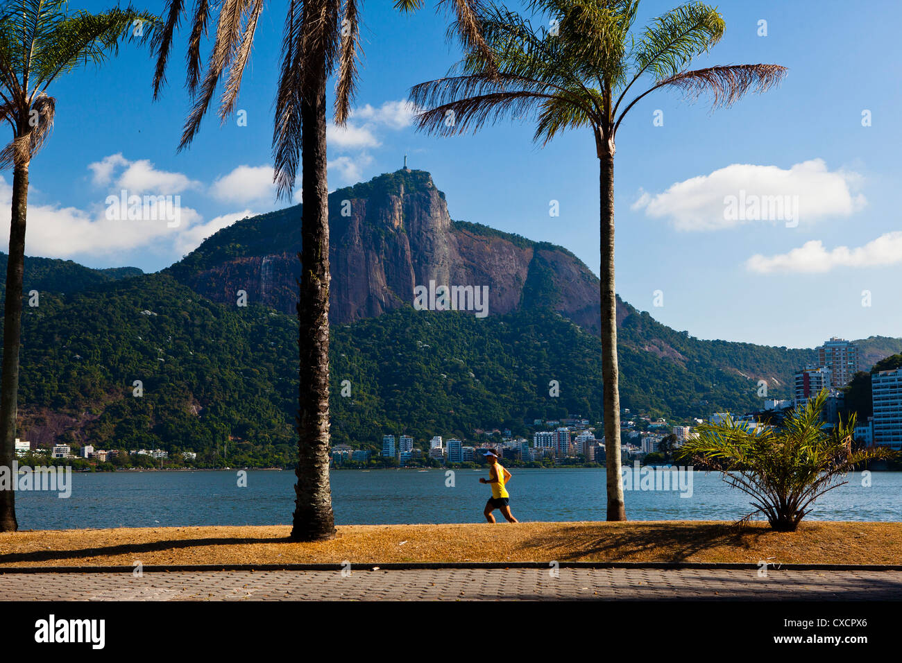 Lagoa Rodrigo de Freitas ( Rodrigo de Freitas Lagoon ), Rio de Janeiro ...