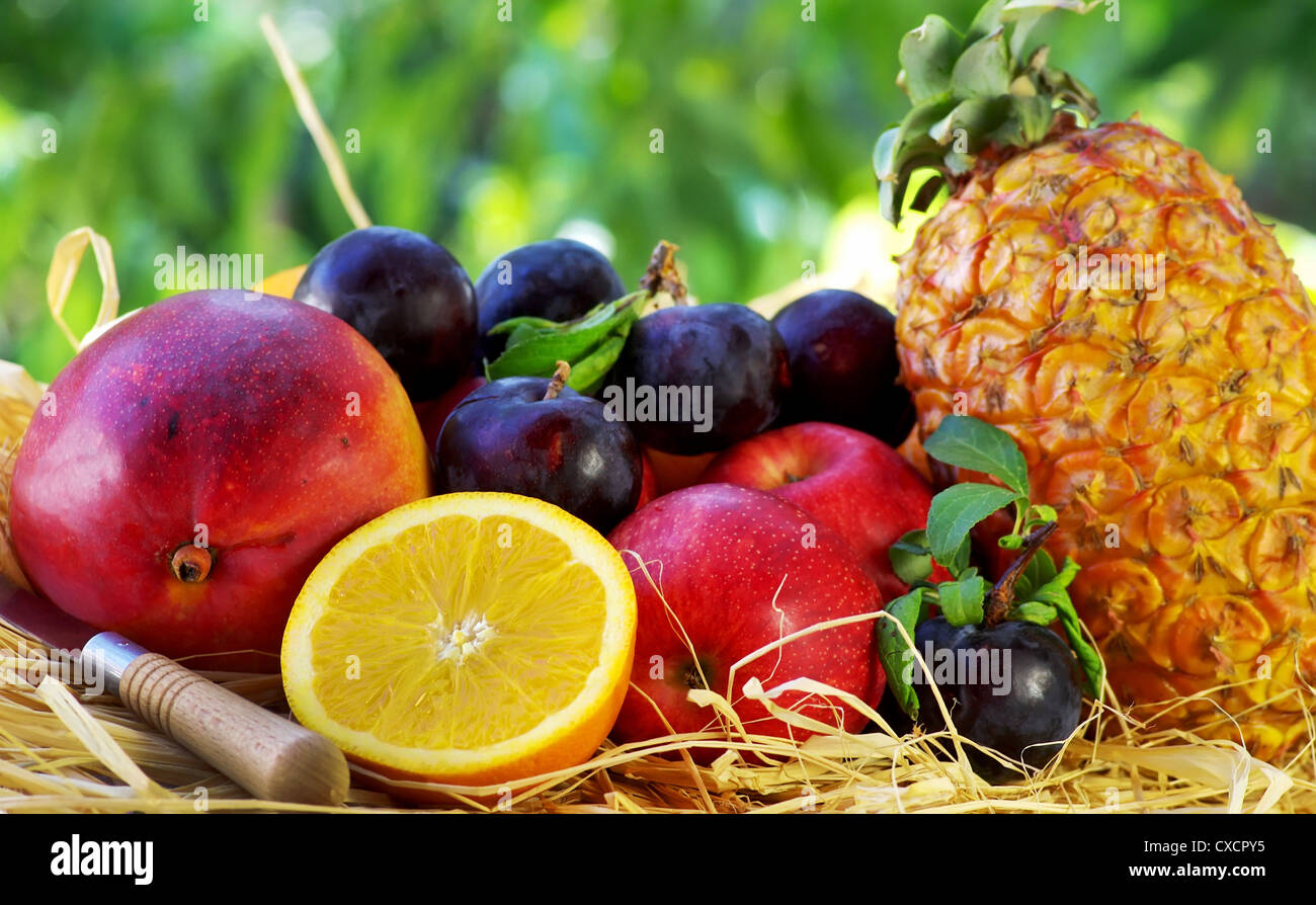 Tropical fruits mango pineapple hi-res stock photography and images - Alamy