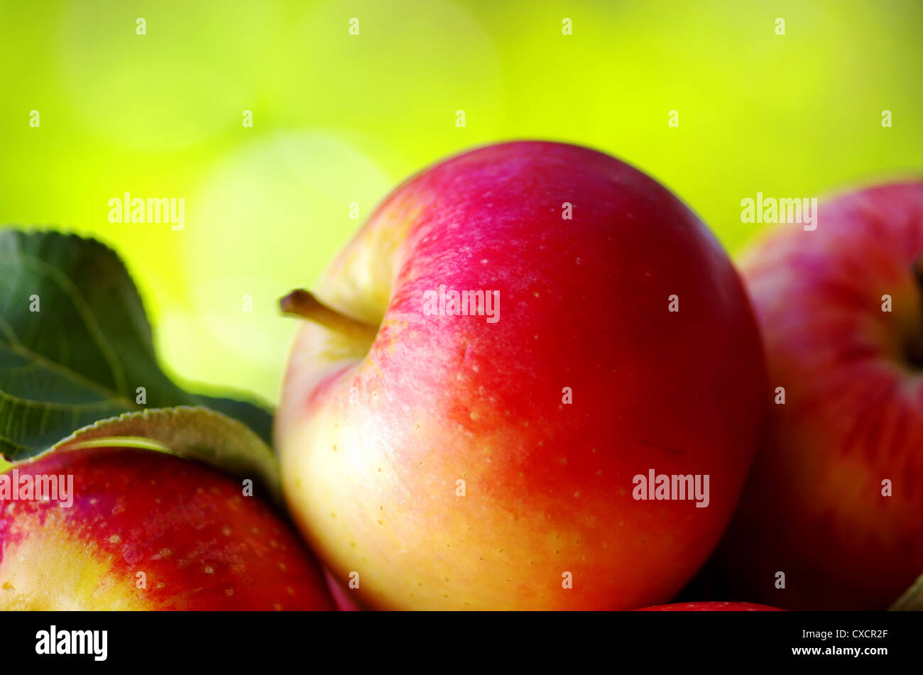 Stark delicious apple hi-res stock photography and images - Alamy