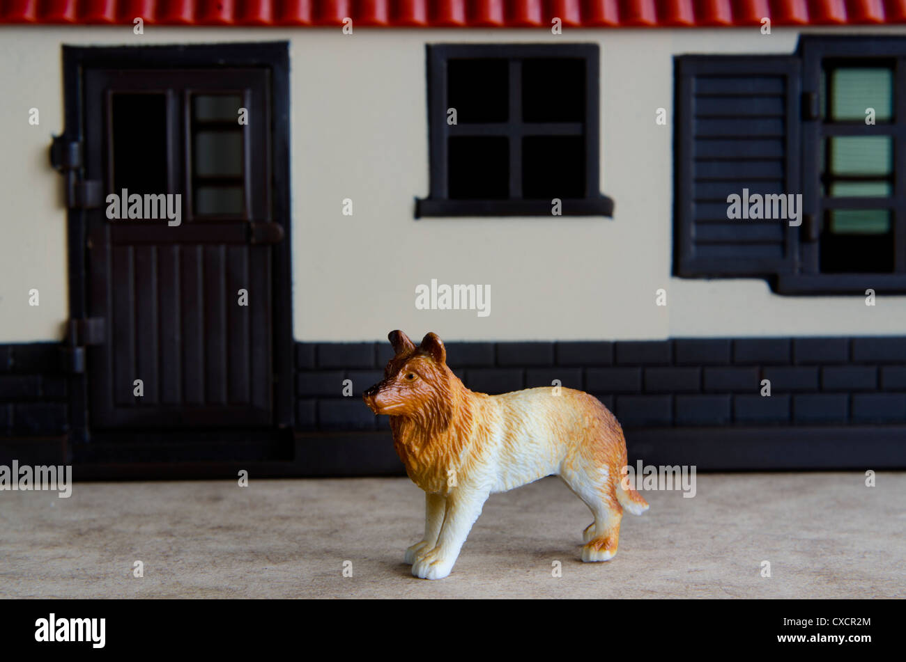 Dog Guarding House Stock Photos & Dog Guarding House Stock Images - Alamy