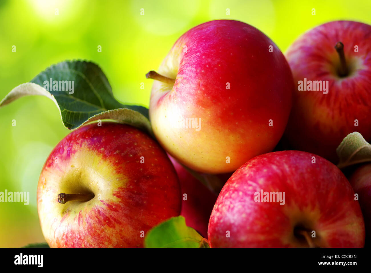 ripe red apples on table, green background Stock Photo - Alamy