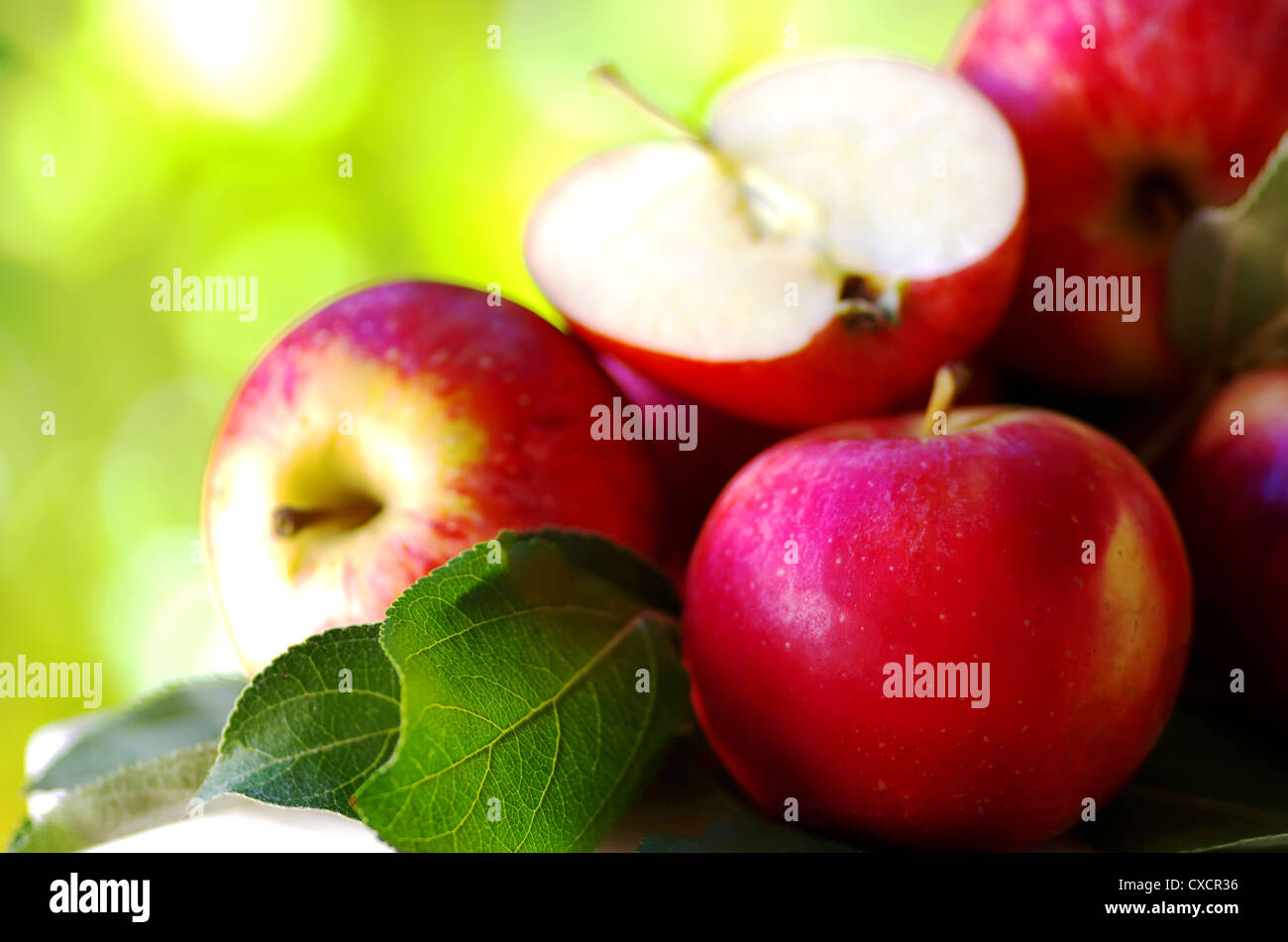 Stark delicious apple hi-res stock photography and images - Alamy
