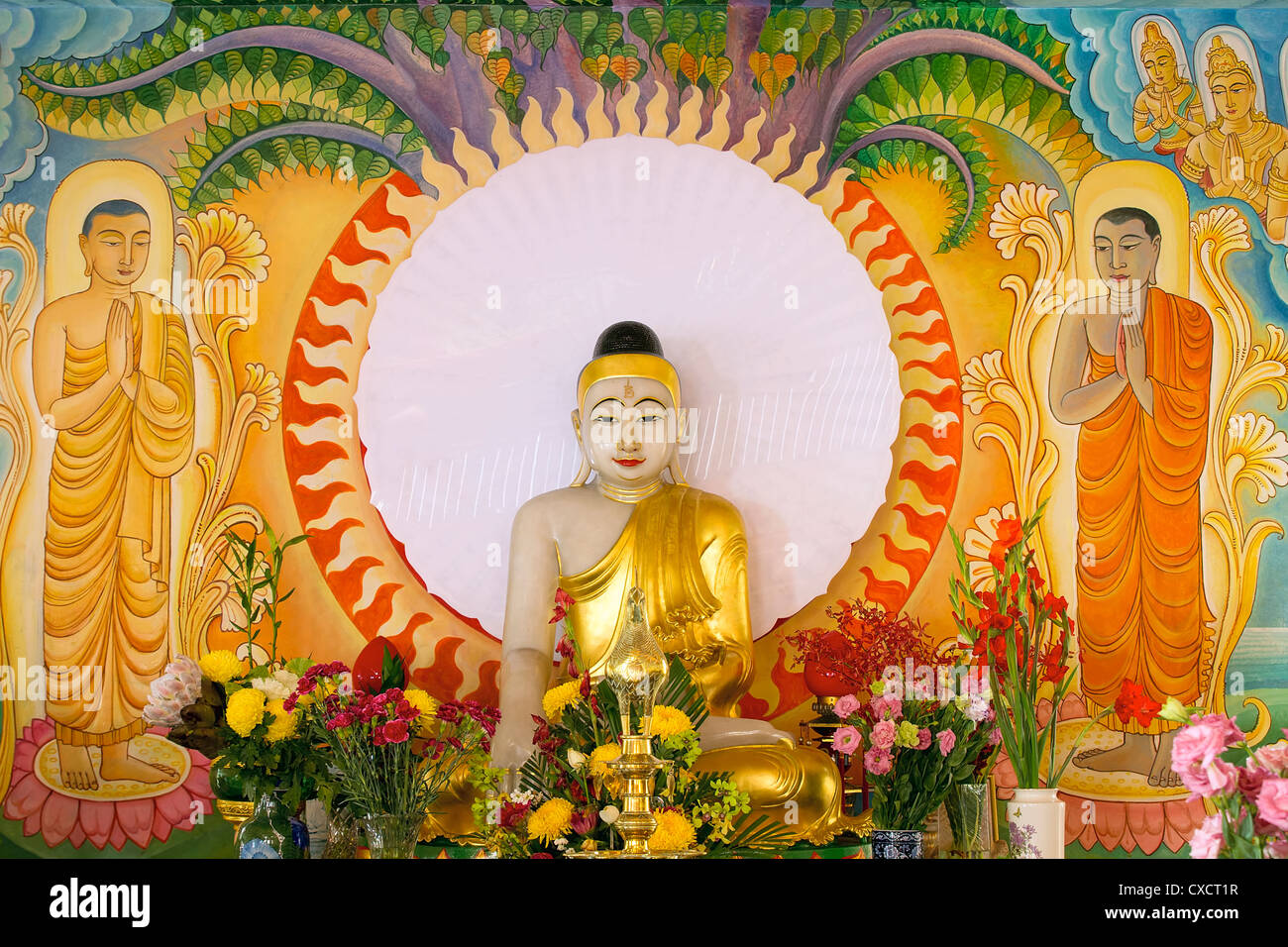 Buddha bodhi tree hi-res stock photography and images - Alamy