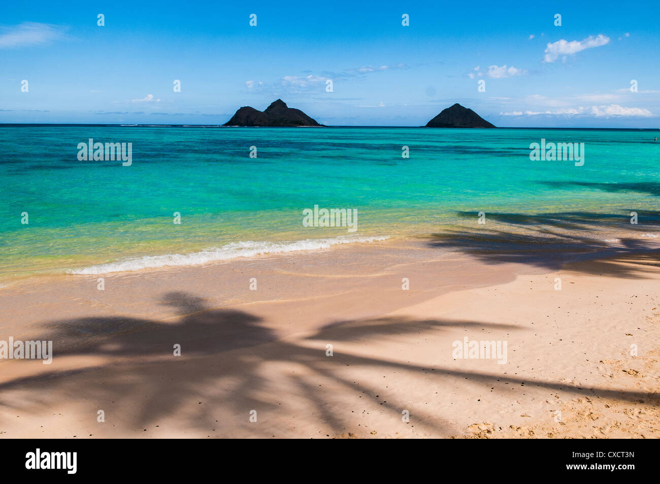 Palm tree shadows on Lanikai Beach, Kailua Bay, Oahu, Hawaii. Mokulua ...