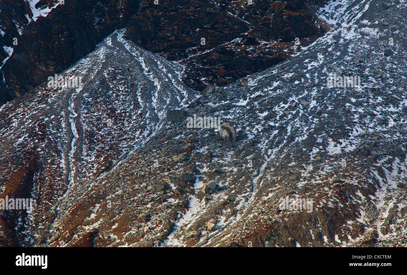 Alpine scree hi-res stock photography and images - Alamy