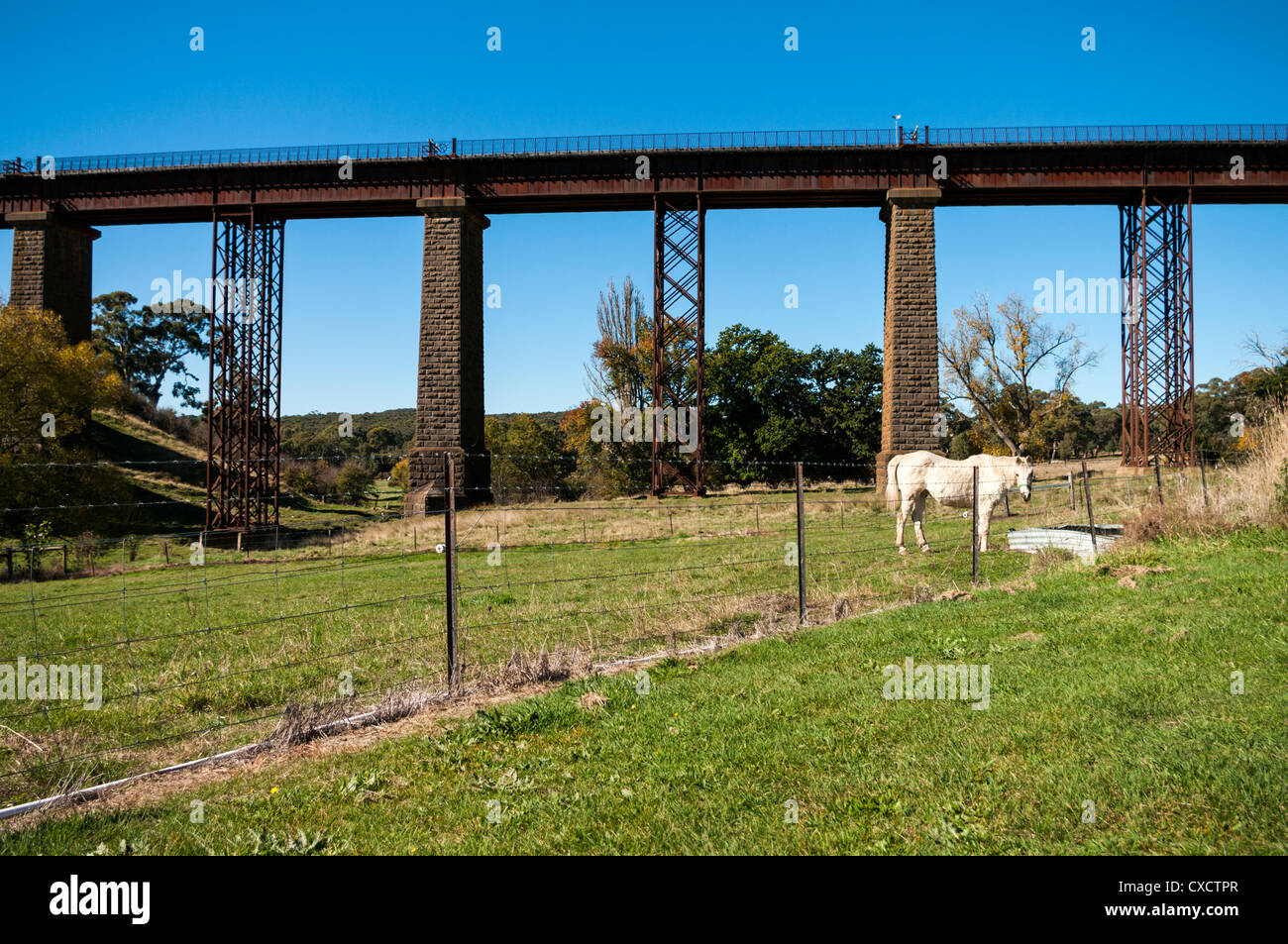 The historic Taradale Railway Viaduct built in 1862 Stock Photo - Alamy