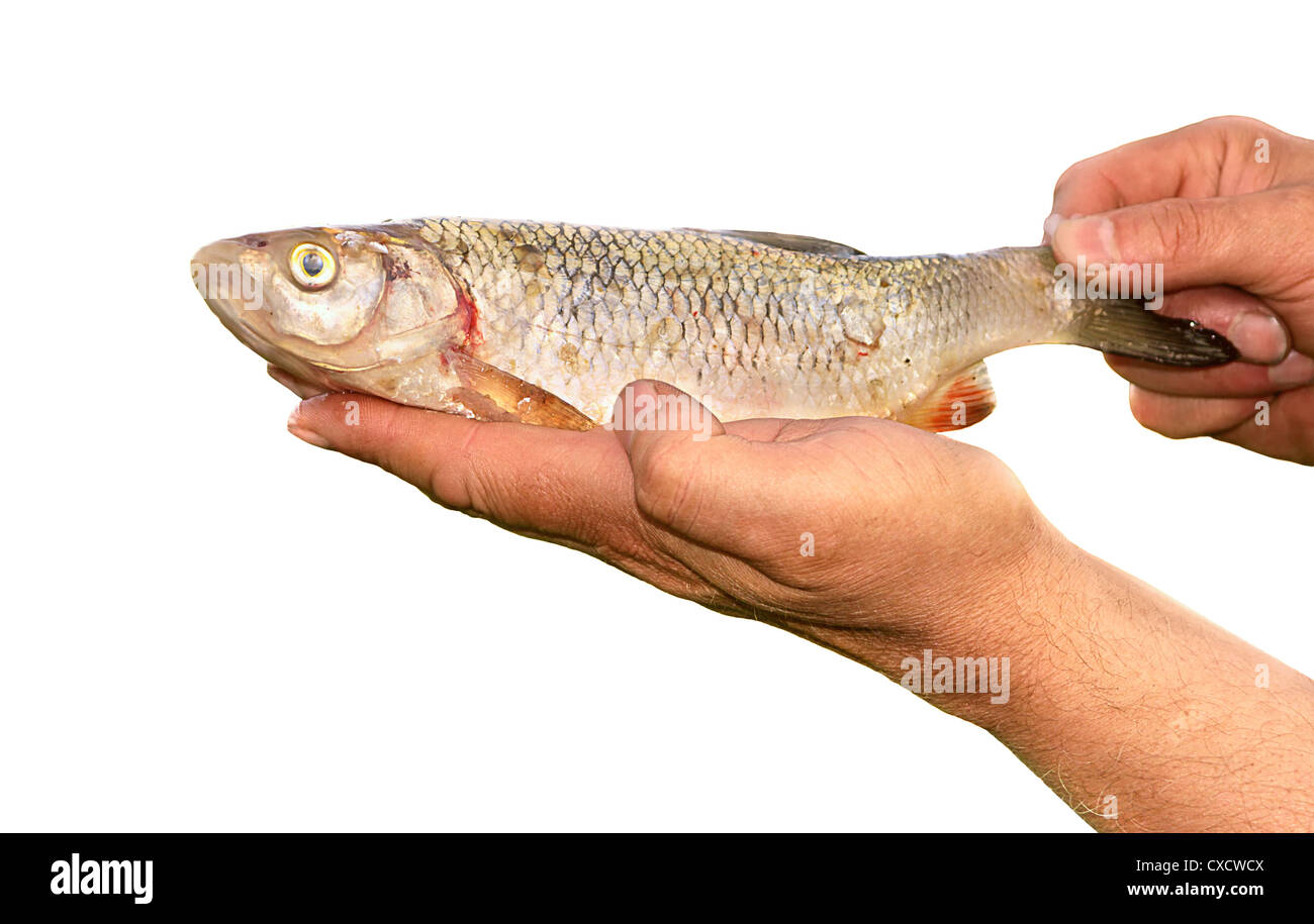 Ichthyosis hi-res stock photography and images - Alamy