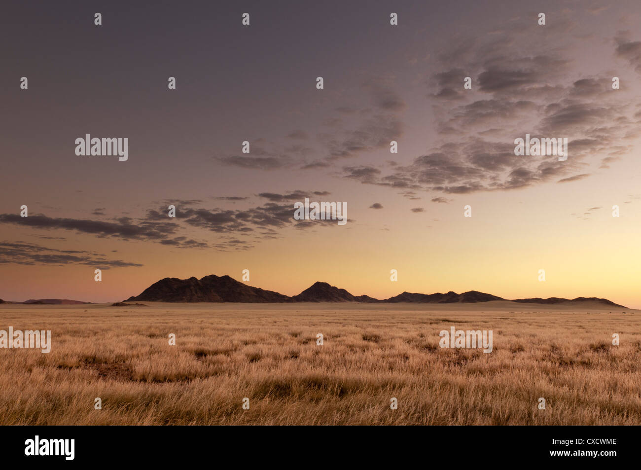 Kulala Wilderness Reserve, Namib Desert, Namibia, Africa Stock Photo ...