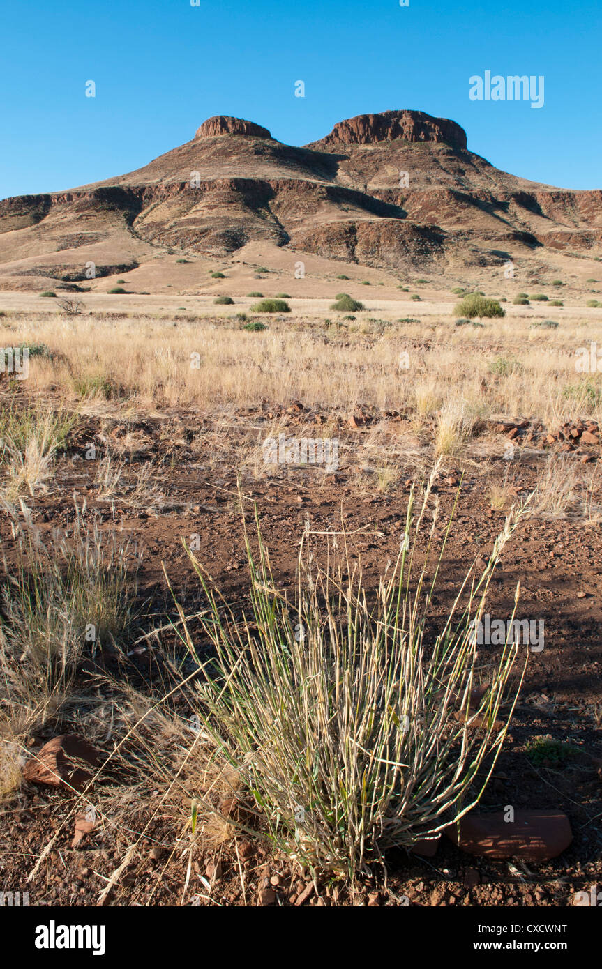 Huab River Valley, Torra Conservancy, Damaraland, Namibia, Africa Stock ...