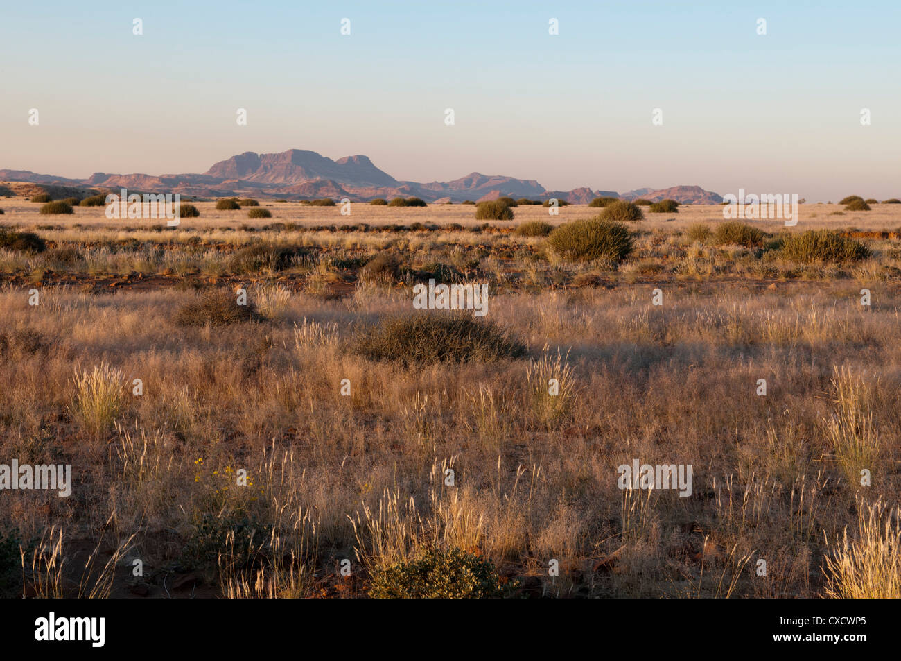 Huab River Valley, Torra Conservancy, Damaraland, Namibia, Africa Stock ...
