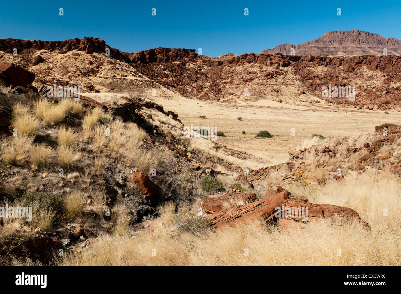 Huab River Valley, Torra Conservancy, Damaraland, Namibia, Africa Stock ...