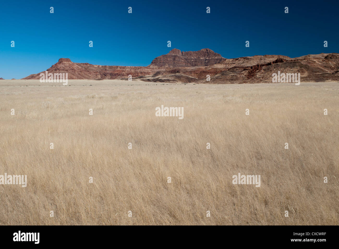 Huab River Stock Photos & Huab River Stock Images - Alamy