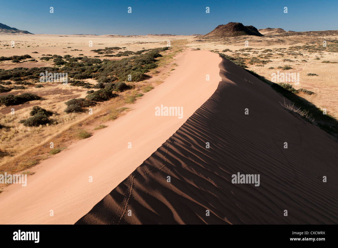 Sand dune, Huab River Valley, Torra Conservancy, Damaraland, Namibia ...