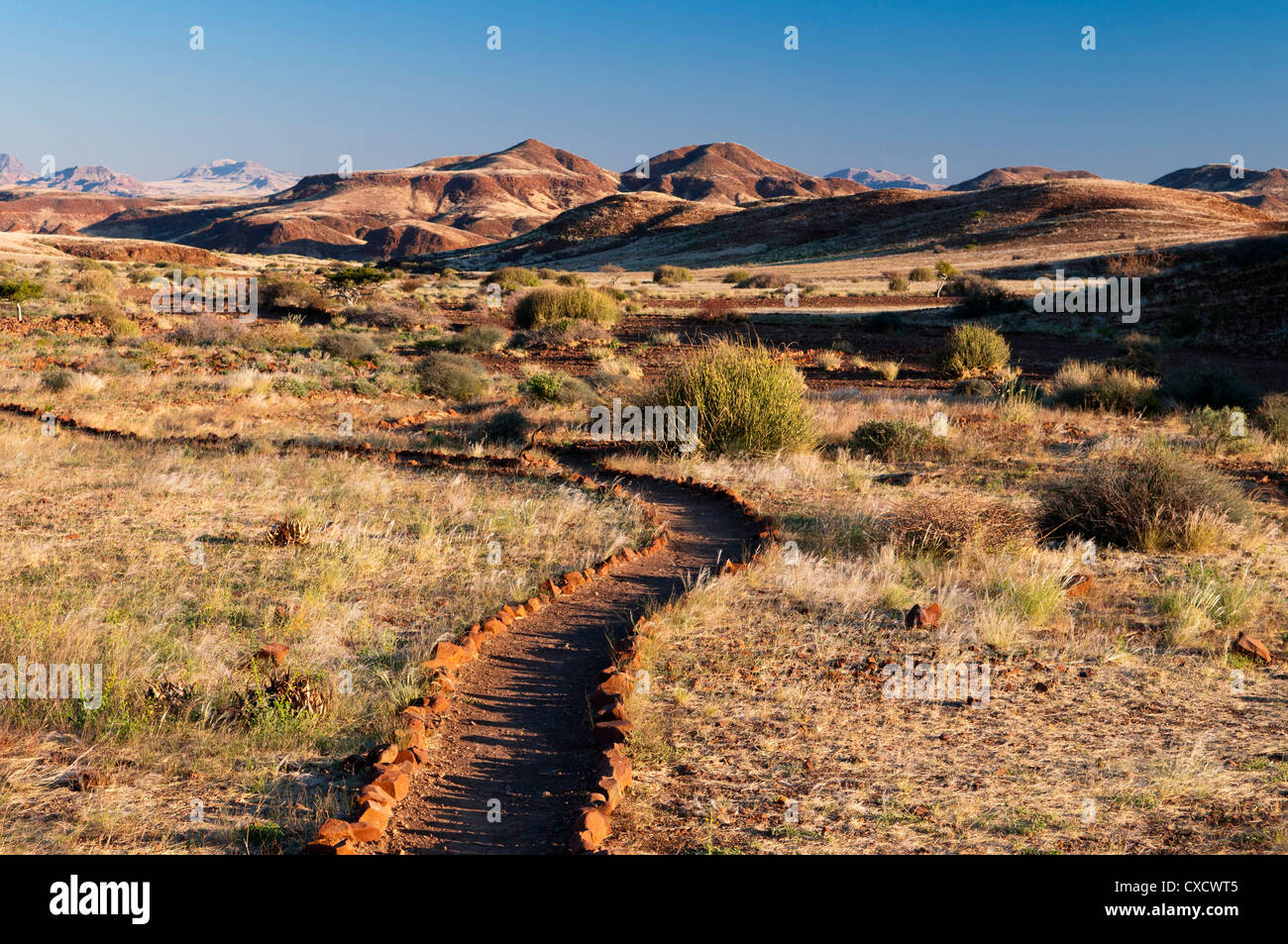Damaraland Camp, Huab River Valley, Torra Conservancy, Damaraland ...