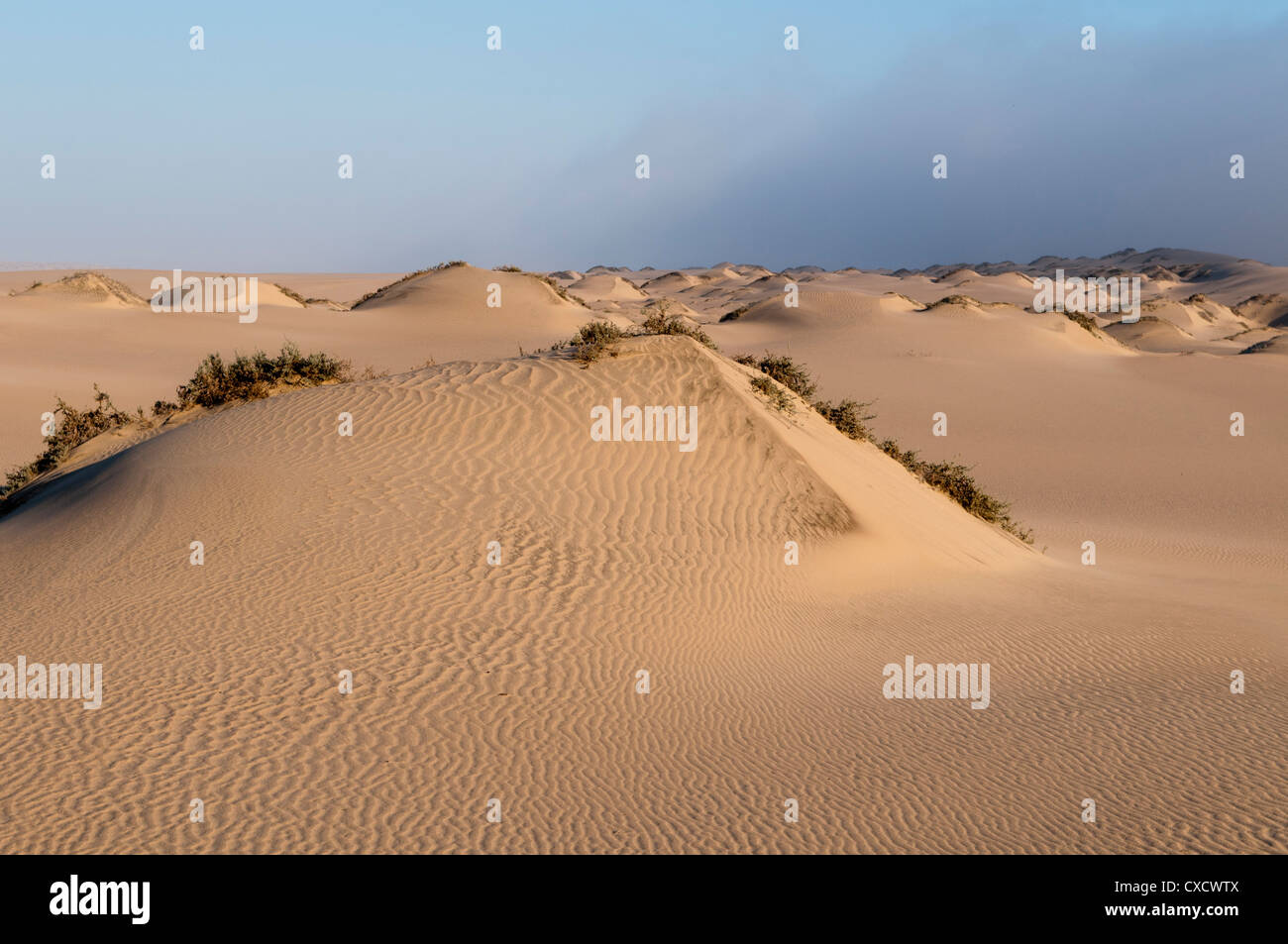 Sand dunes, Skeleton Coast National Park, Namibia, Africa Stock Photo ...