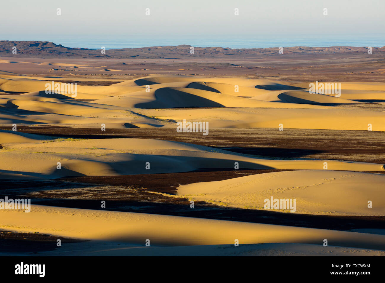 Sand dunes, Skeleton Coast National Park, Namibia, Africa Stock Photo ...