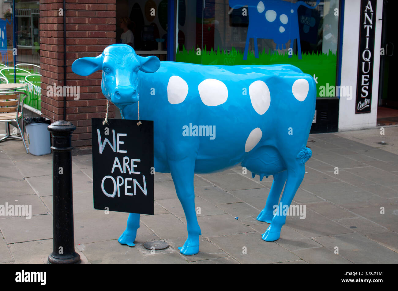Blue Cow milkshake bar, Stratford-upon-Avon, UK Stock Photo - Alamy