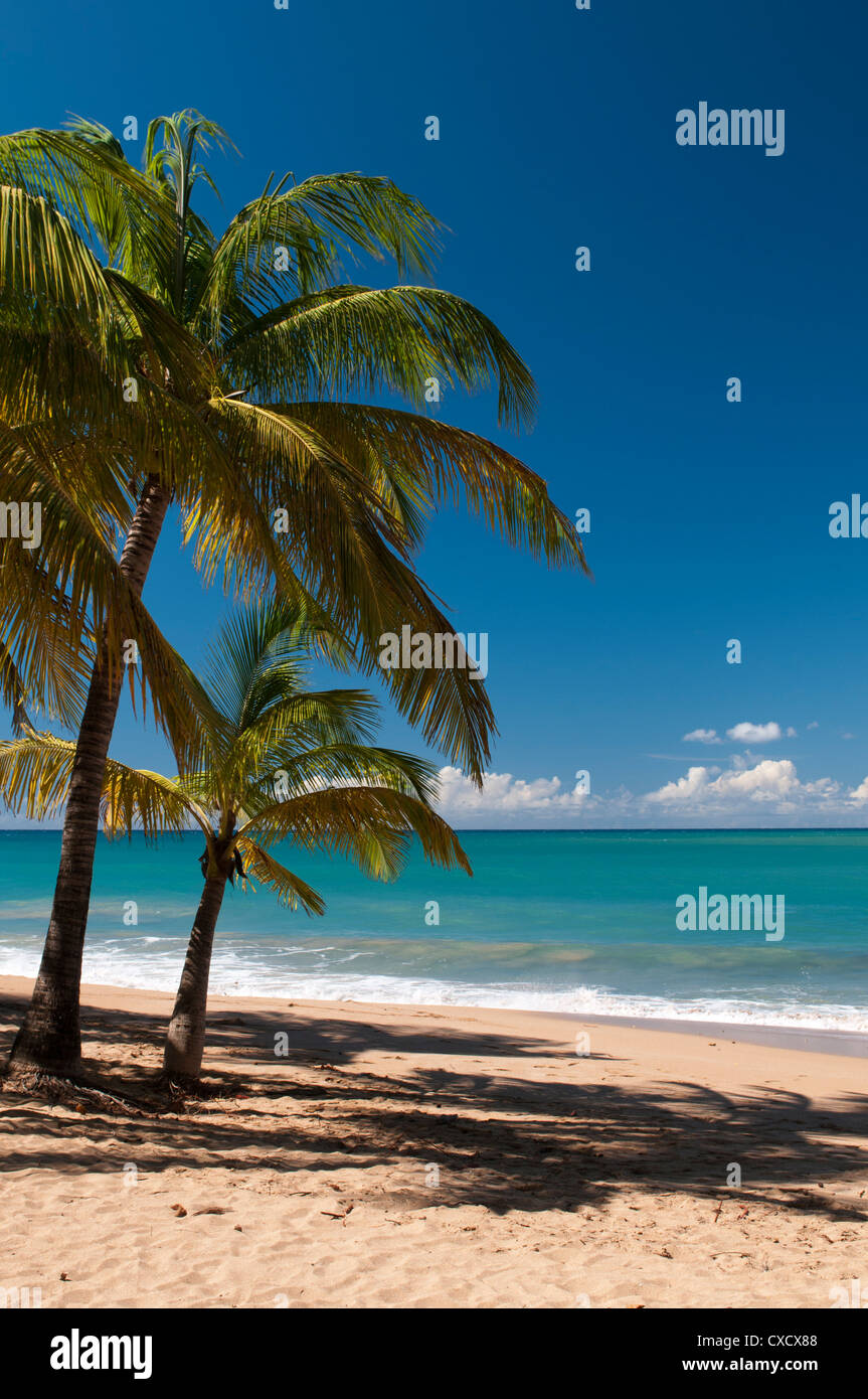 La Perle Beach, Deshaies, Basse-Terre, Guadeloupe, French Caribbean ...
