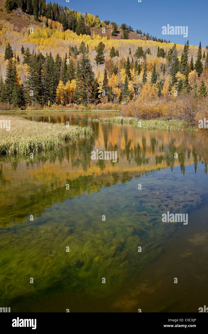 Silver Lake in the fall, Wasatch-Cache National Forest, Utah, United ...