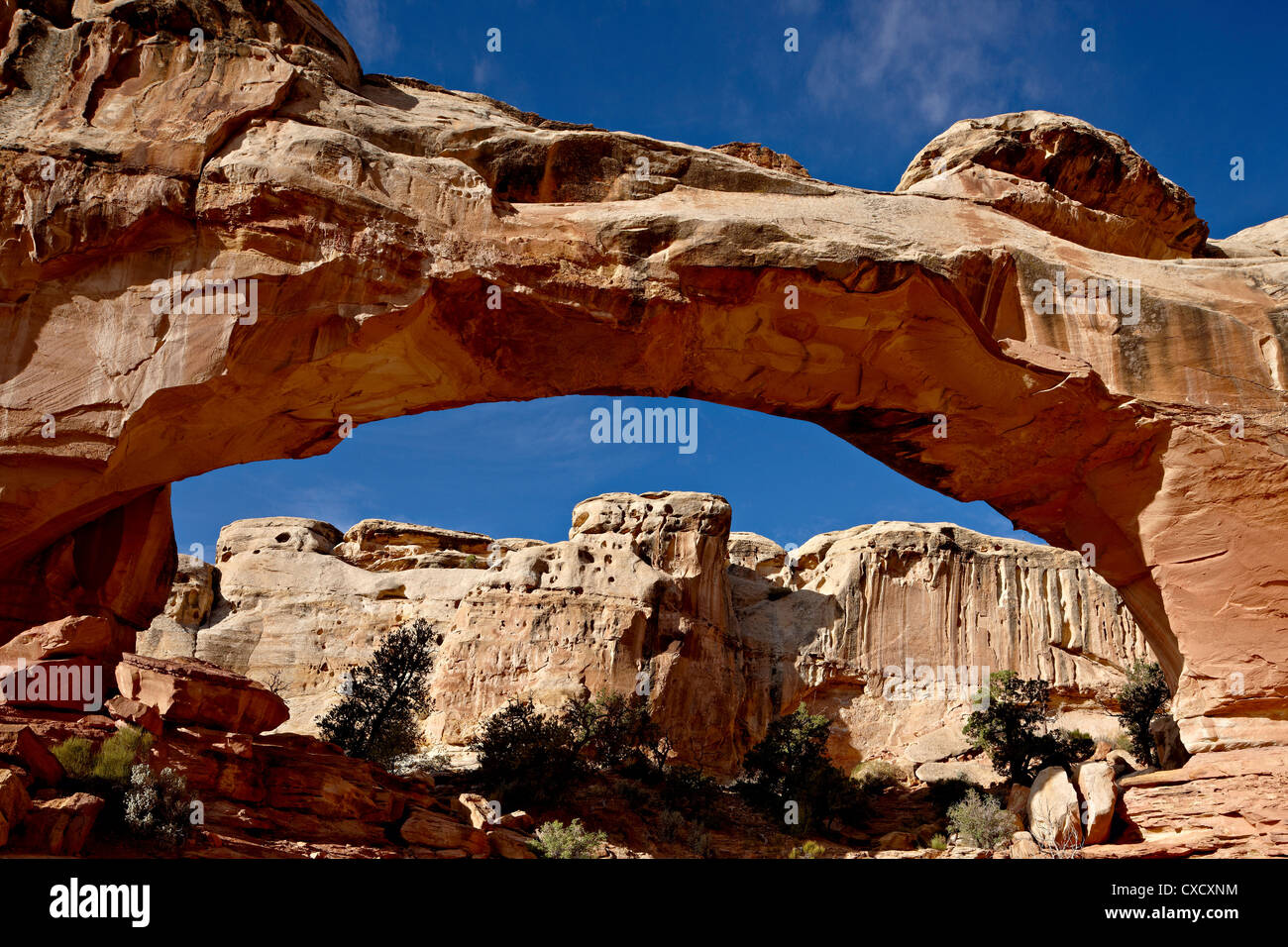 Hickman Bridge, Capitol Reef National Park, Utah, United States of ...