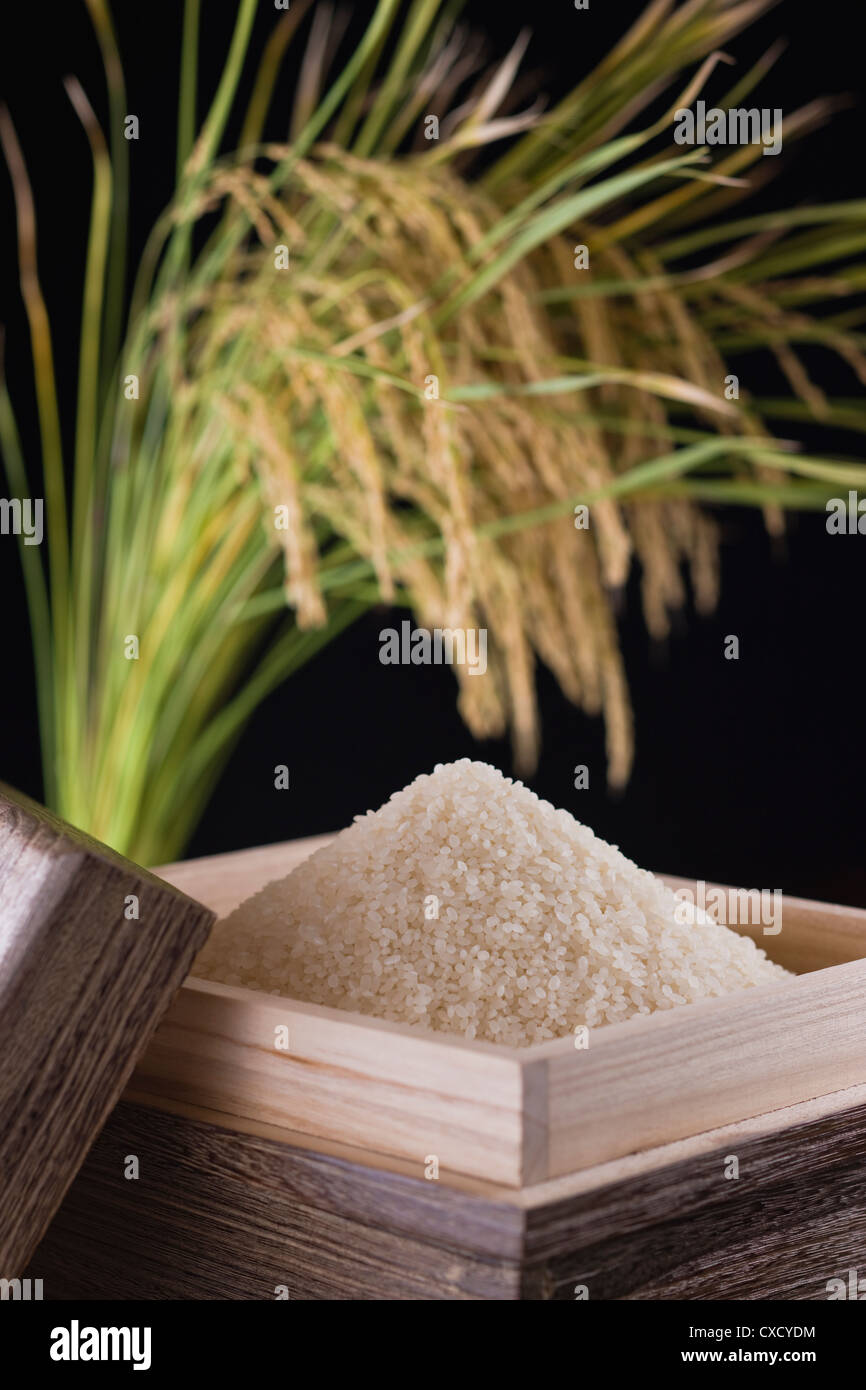 Rice in Box Stock Photo - Alamy