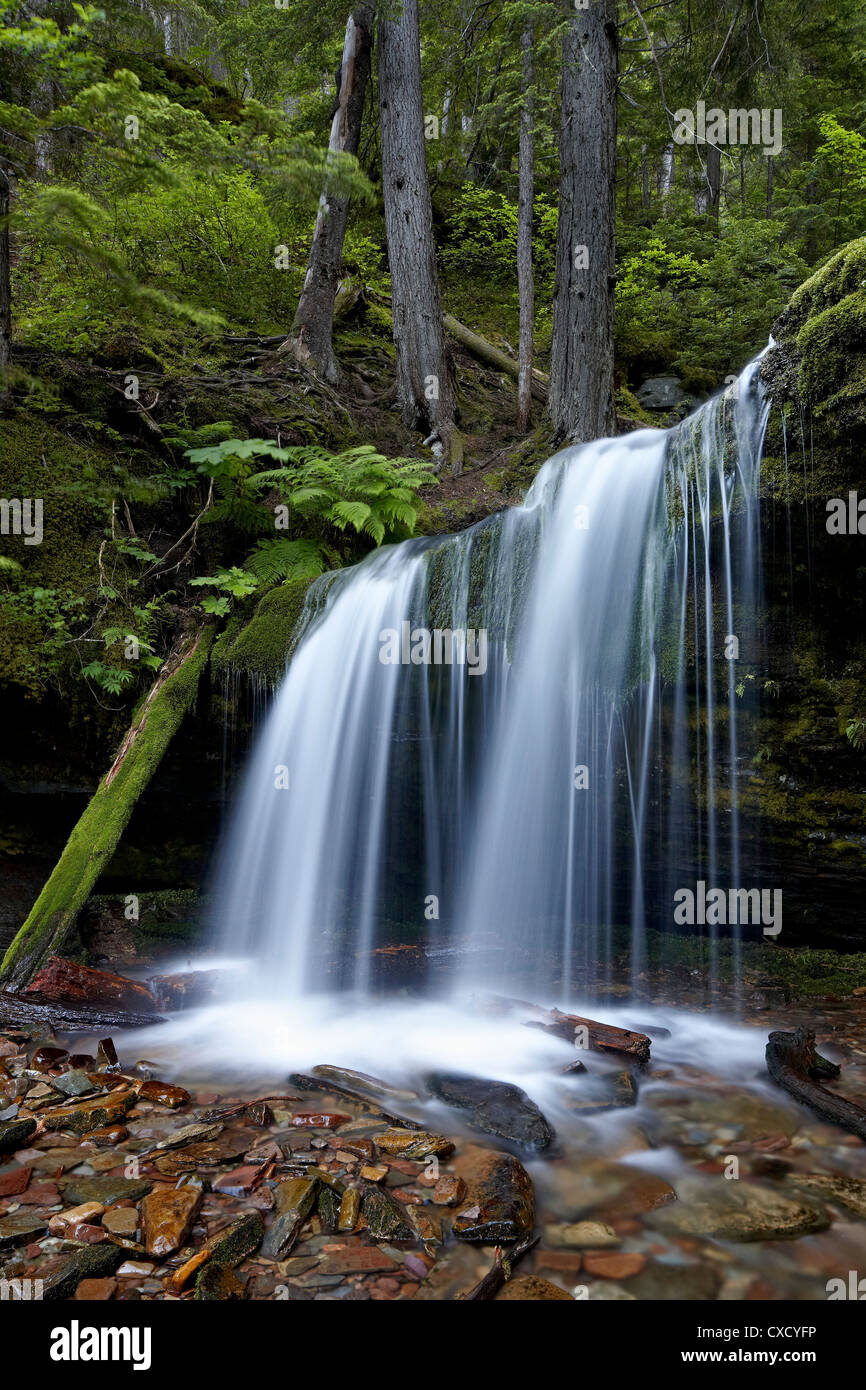 Fern Falls, Coeur d'Alene National Forest, Idaho Panhandle National ...
